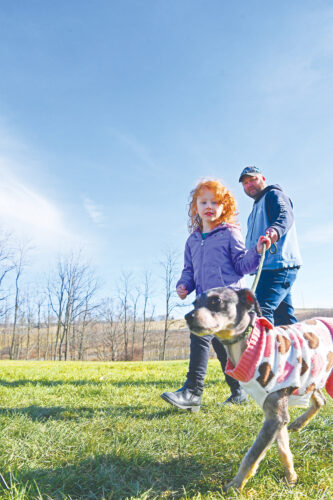 Lending A Paw: Bedford rescue pets receive ongoing care | News, Sports ...